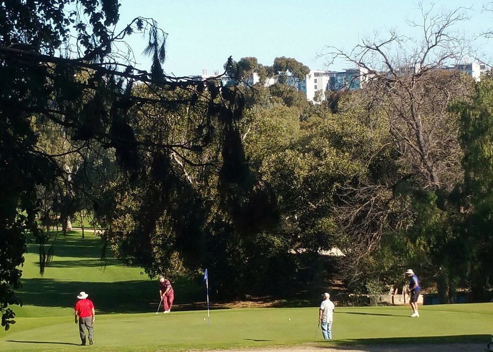 Protect Possum Park Trees — Adelaide Park Lands Association