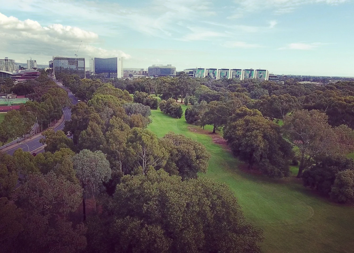 Protect Possum Park Trees — Adelaide Park Lands Association