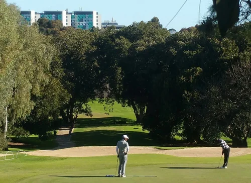 Protect Possum Park Trees — Adelaide Park Lands Association