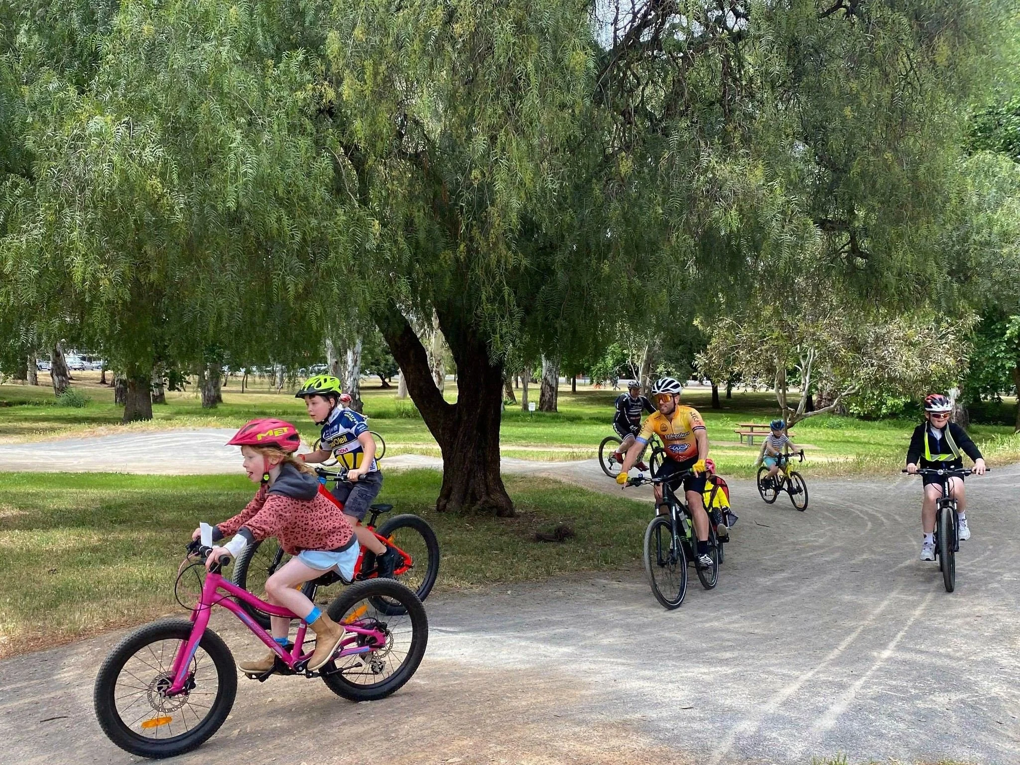 Know your Park Lands plants: pepper tree — Adelaide Park Lands Association