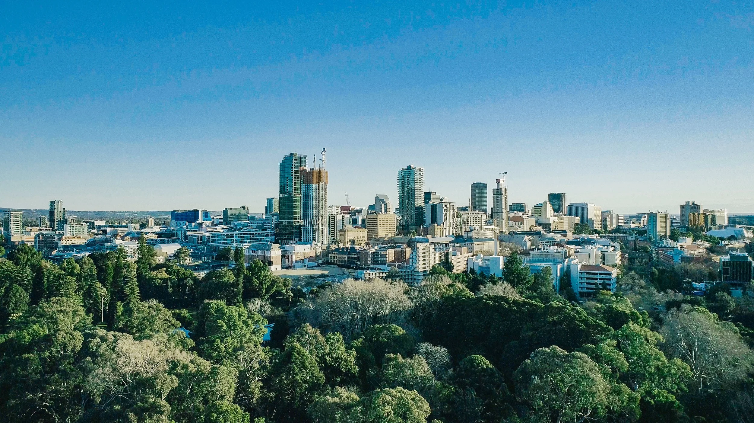 Bird’s-eye view — Adelaide Park Lands Association