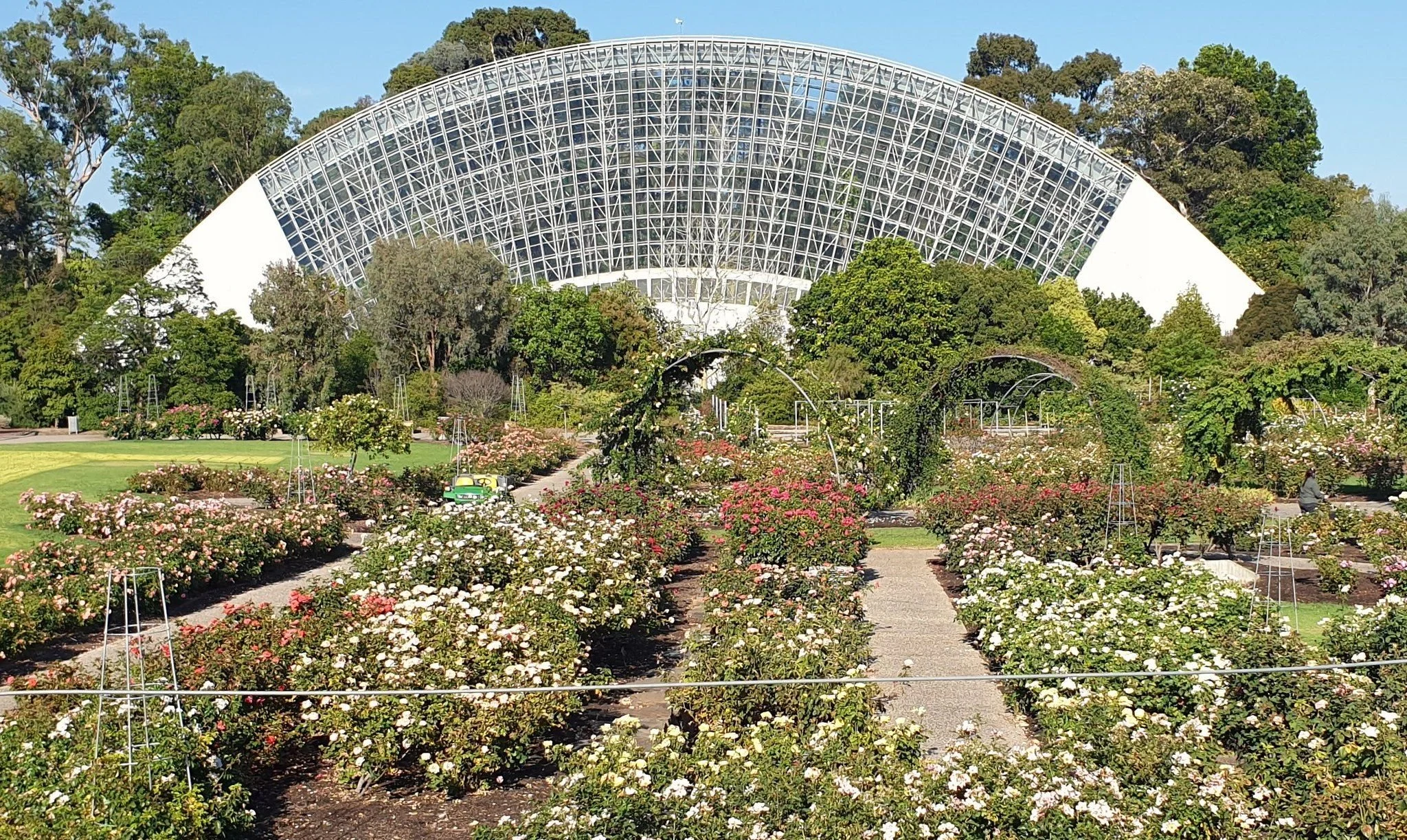 Guided Walks — Adelaide Park Lands Association