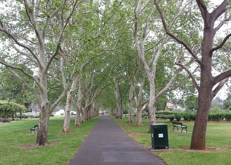 Park 14 Tour — Adelaide Park Lands Association