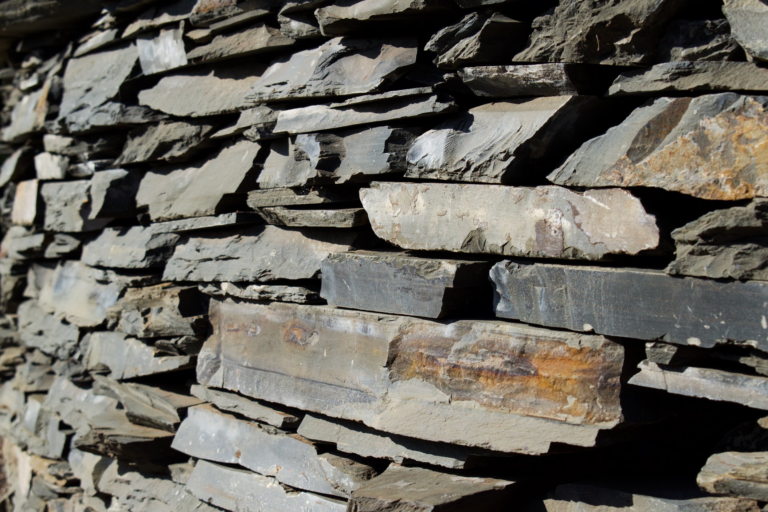 Know Your Park Lands Art: Black Spring — Adelaide Park Lands Association