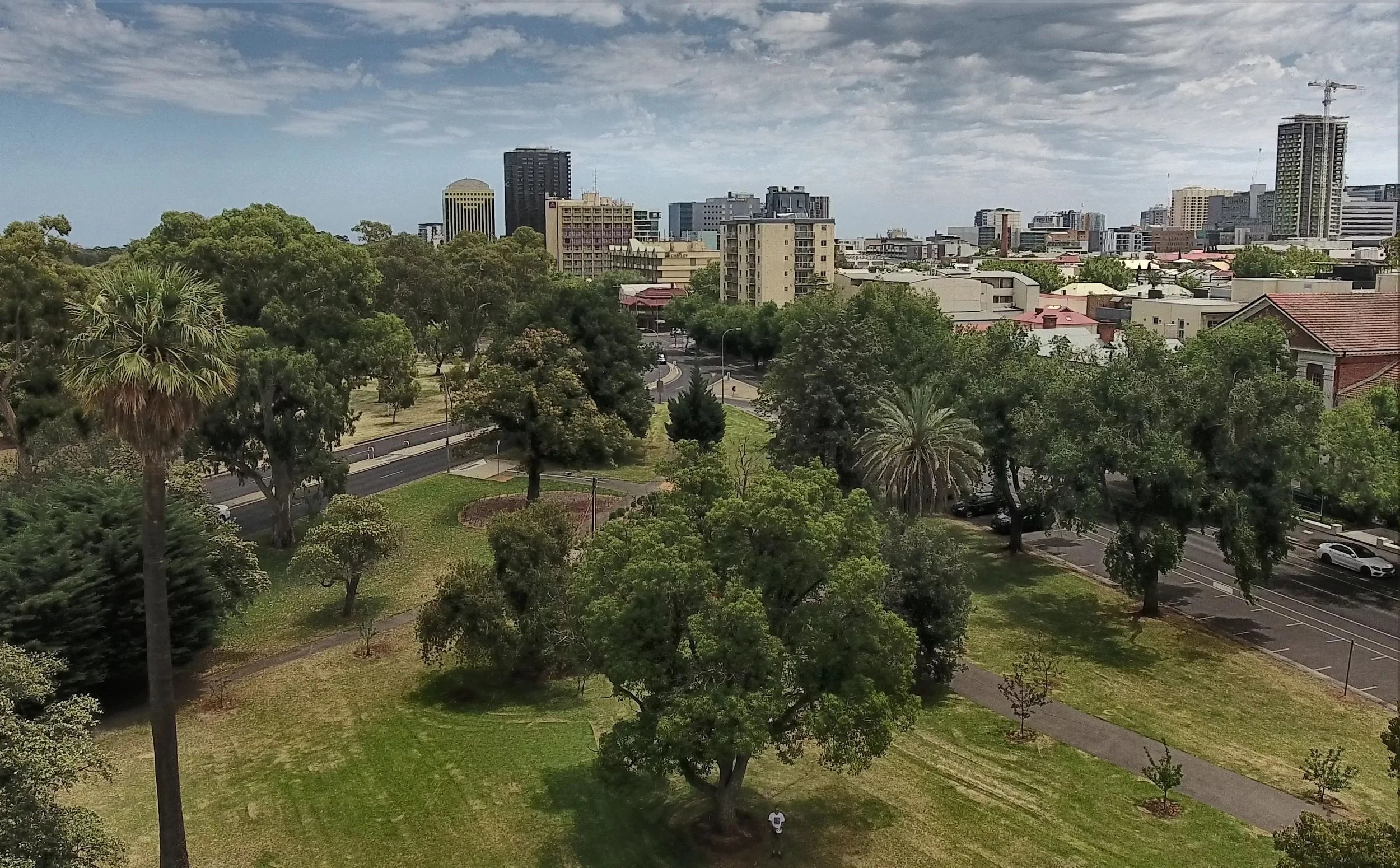 Guided Walks — Adelaide Park Lands Association