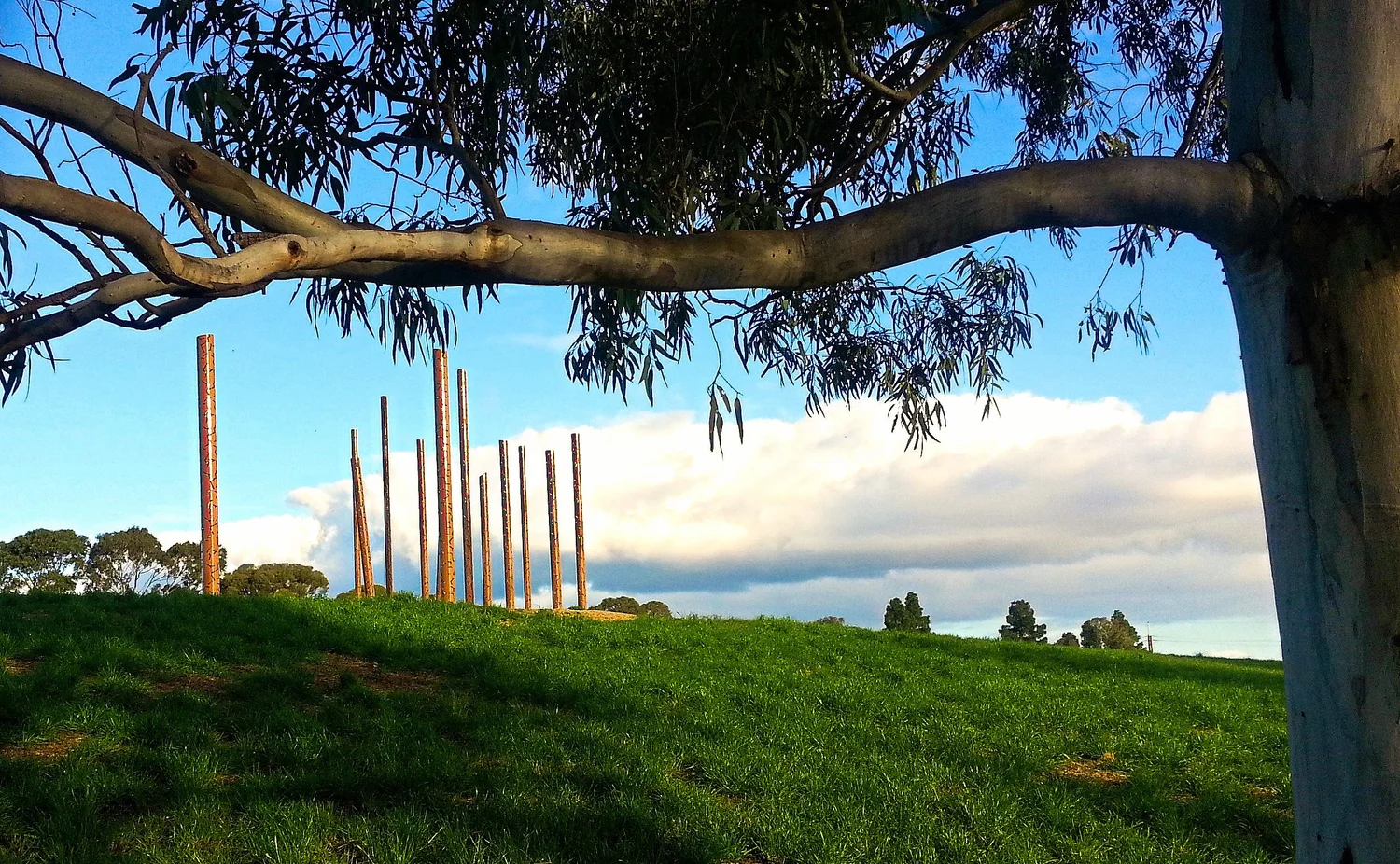 Guided Walks — Adelaide Park Lands Association