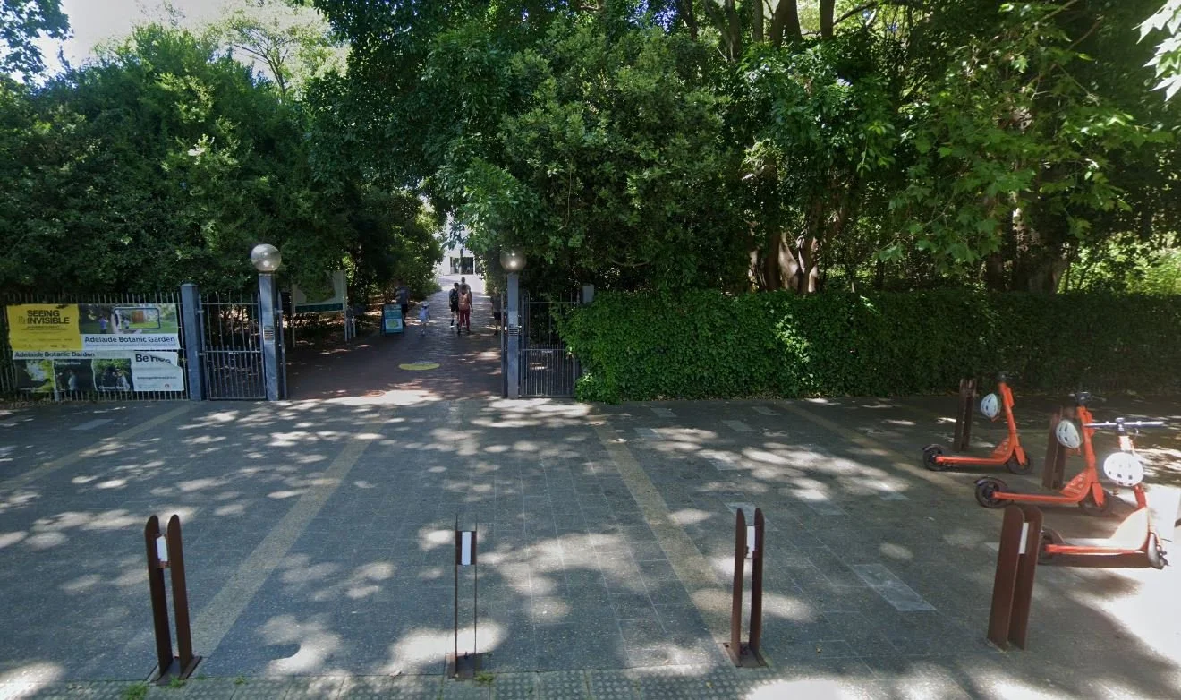 Park 11 Botanic Garden Tour — Adelaide Park Lands Association