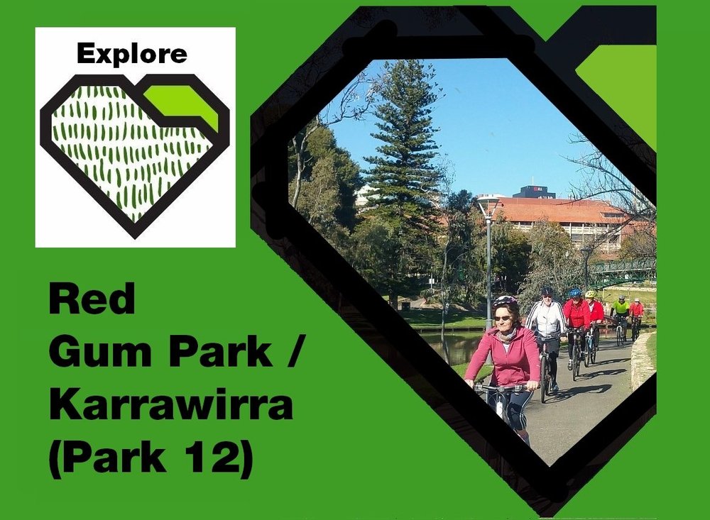 Park 12 tour — Adelaide Park Lands Association
