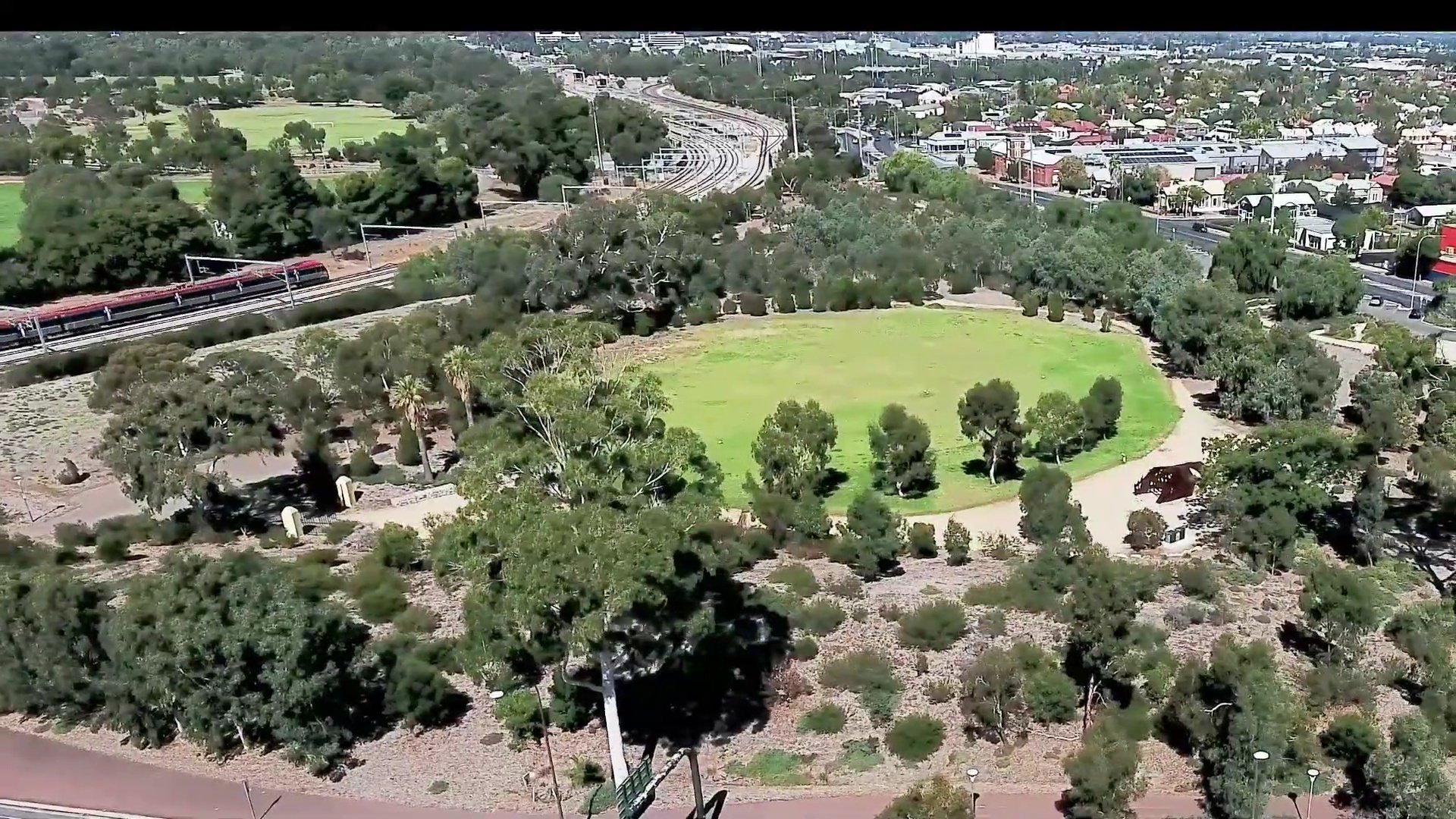 Celebrate your urban forests — Adelaide Park Lands Association