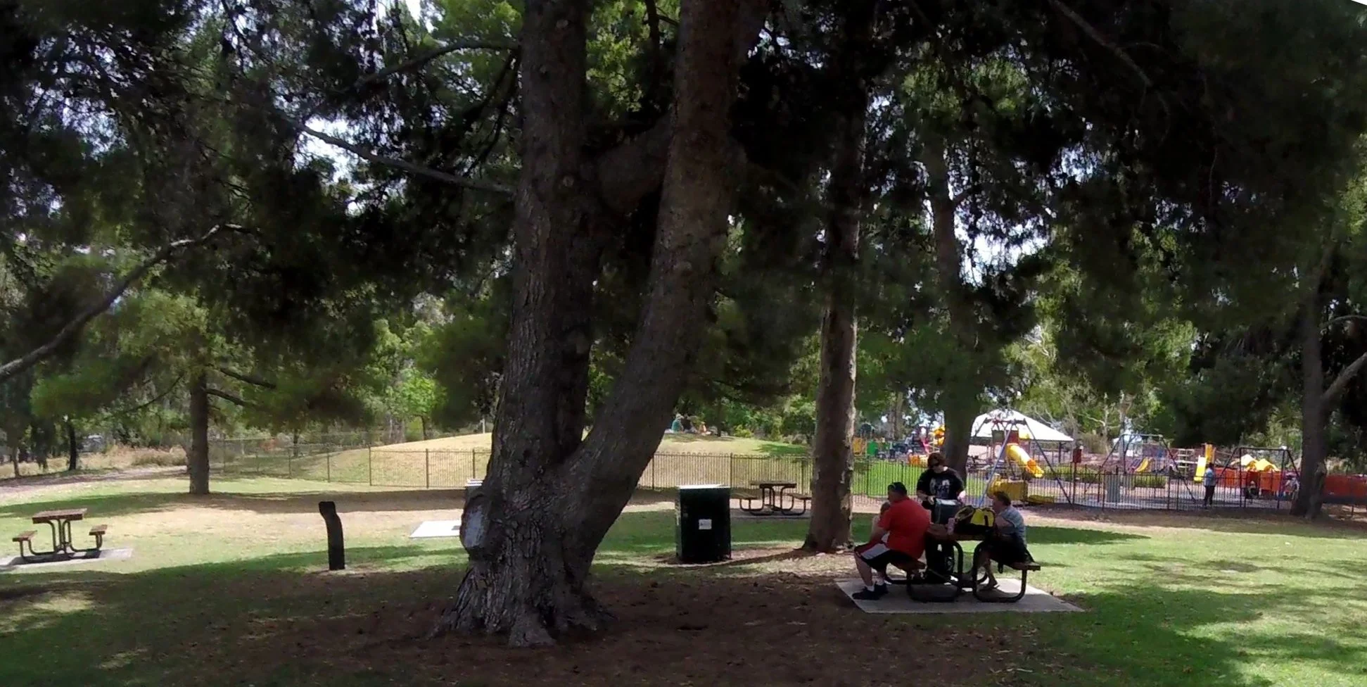 Valentine's Day picnic spots — Adelaide Park Lands Association