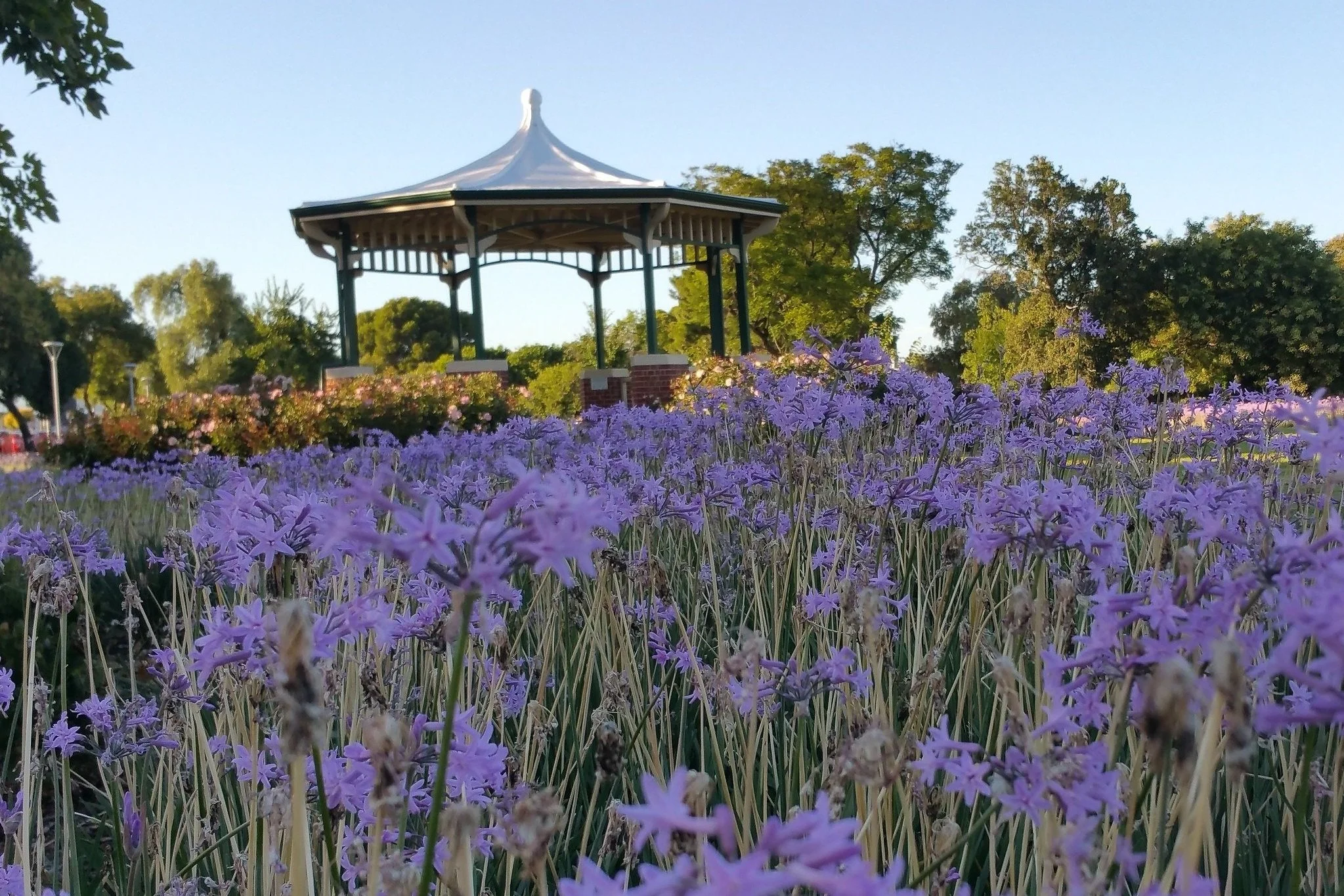 Park 23 Tour — Adelaide Park Lands Association
