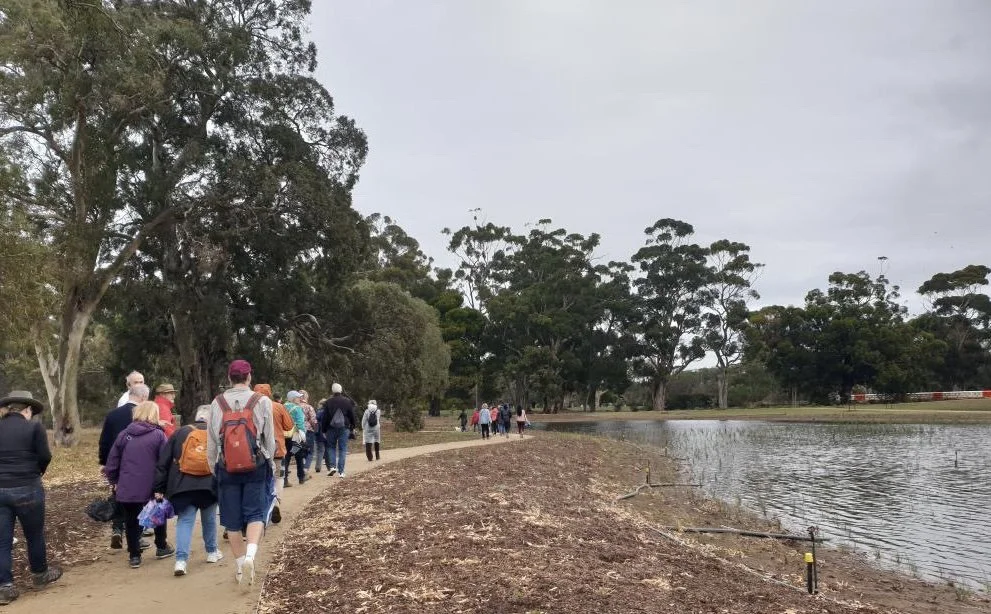 Victoria Park wetland wows visitors — Adelaide Park Lands Association