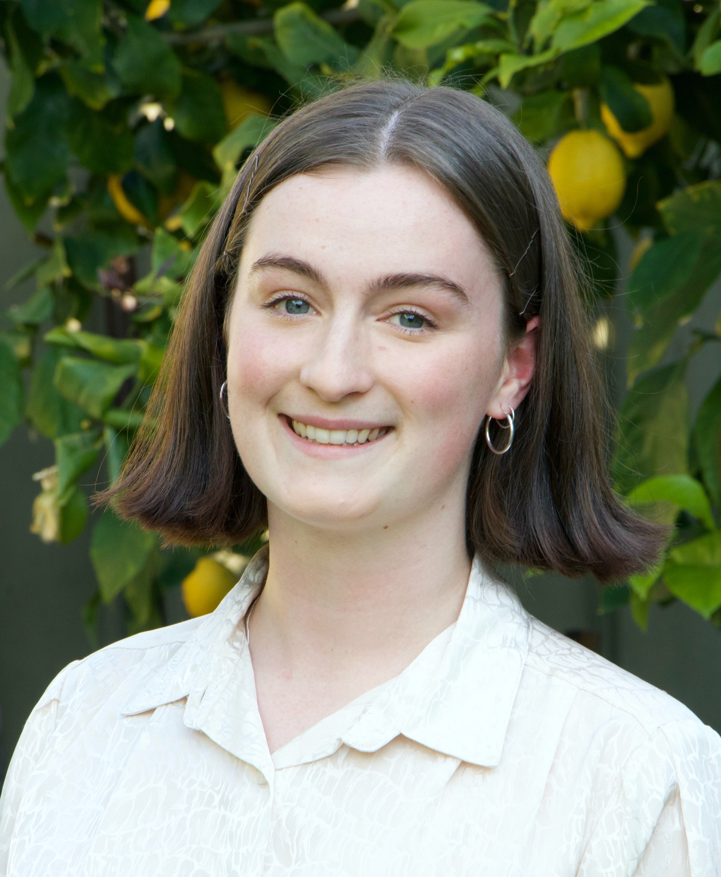 Know your Park Lands plants: native pine — Adelaide Park Lands Association