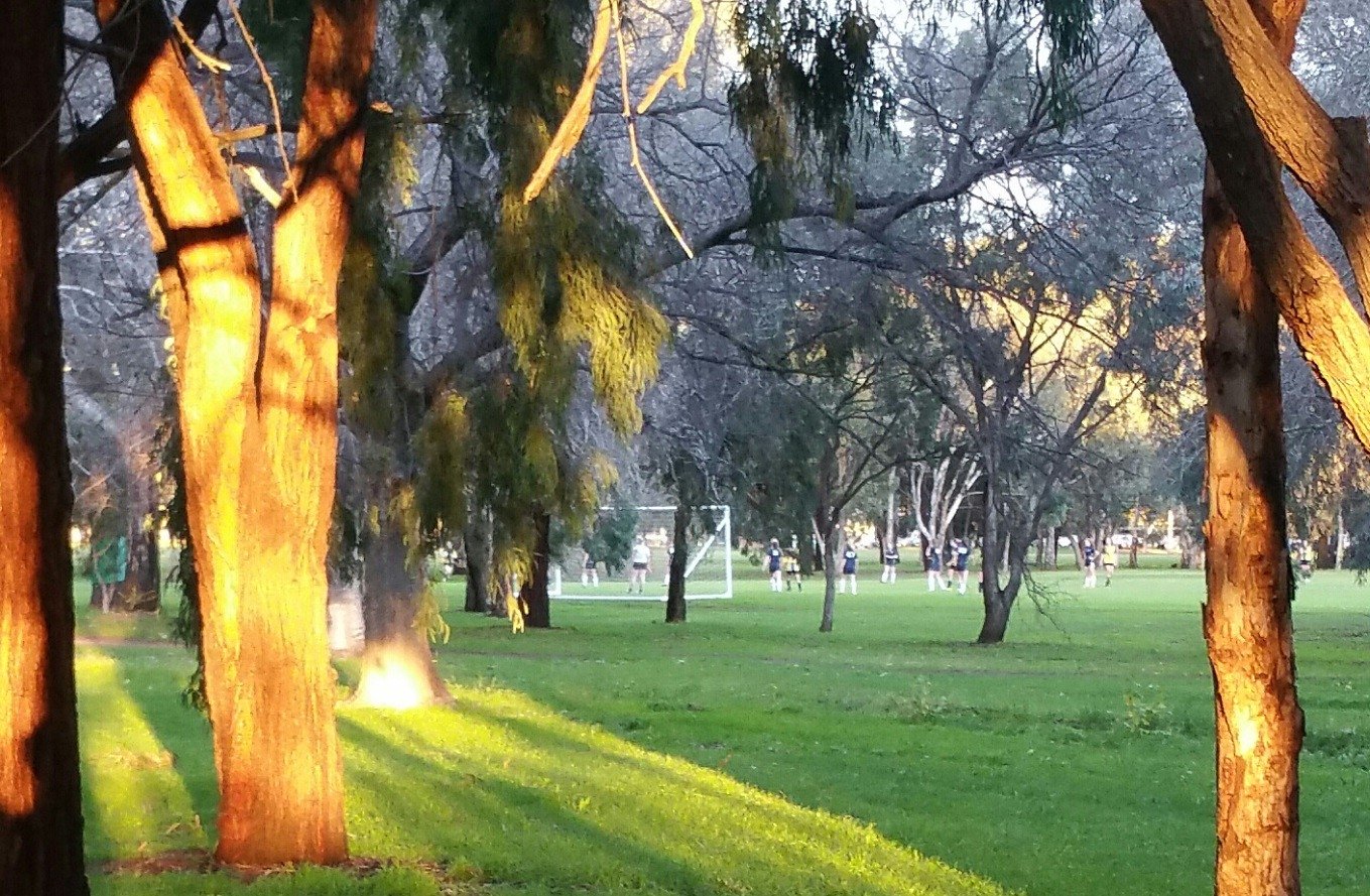 Puffer jacket sports morning — Adelaide Park Lands Association