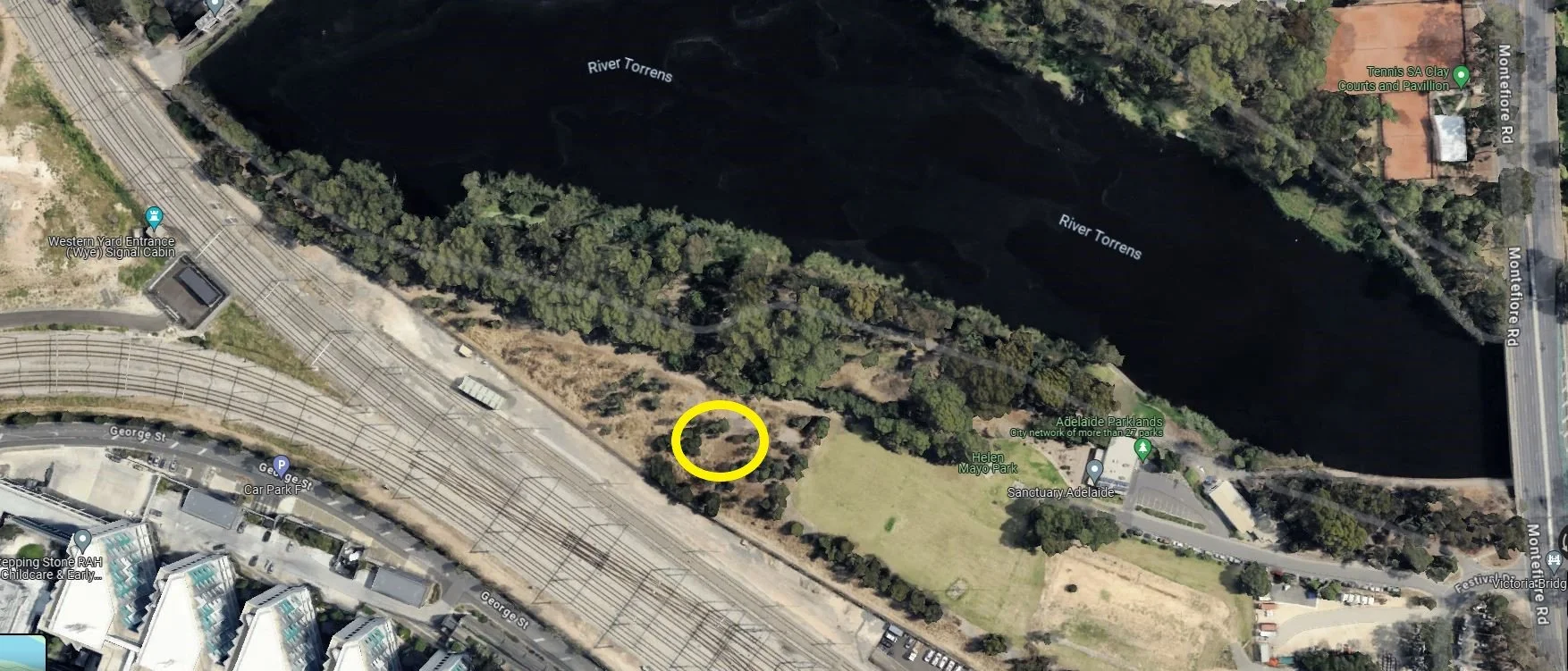 Renewed focus on homelessness — Adelaide Park Lands Association
