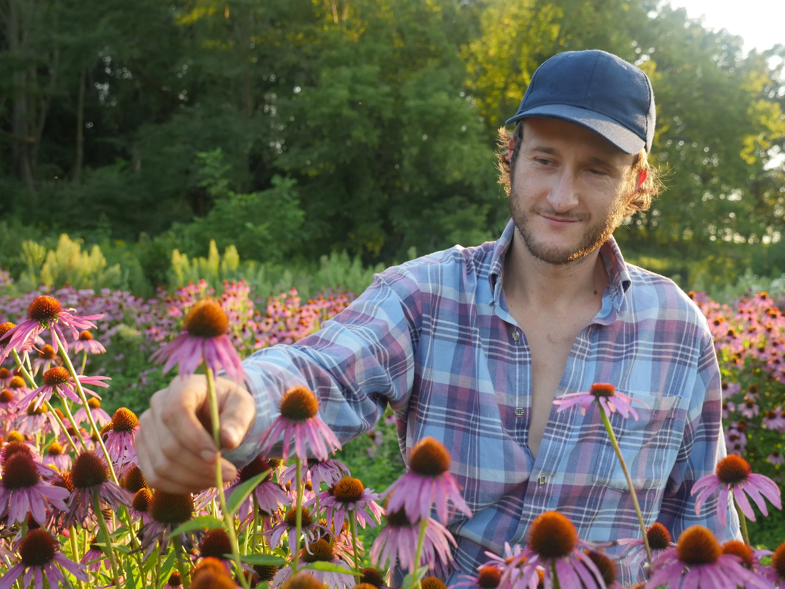 Sacred Blossom Farm and Herbal Tea