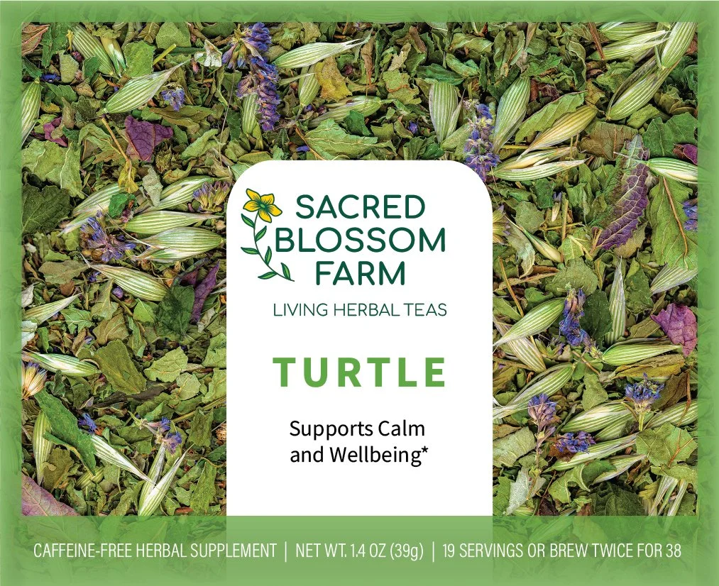 Turtle Herbal Tea — Sacred Blossom Farm