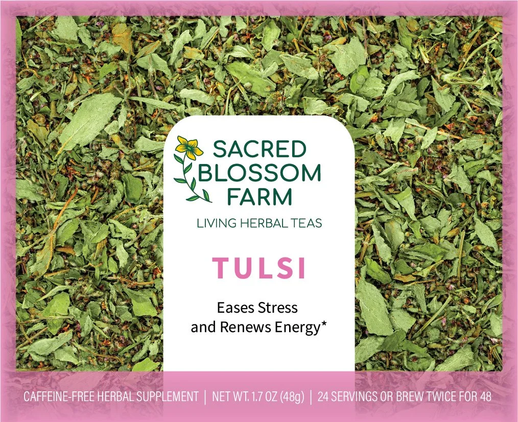 Tulsi Herbal Tea grown in USA — Sacred Blossom Farm