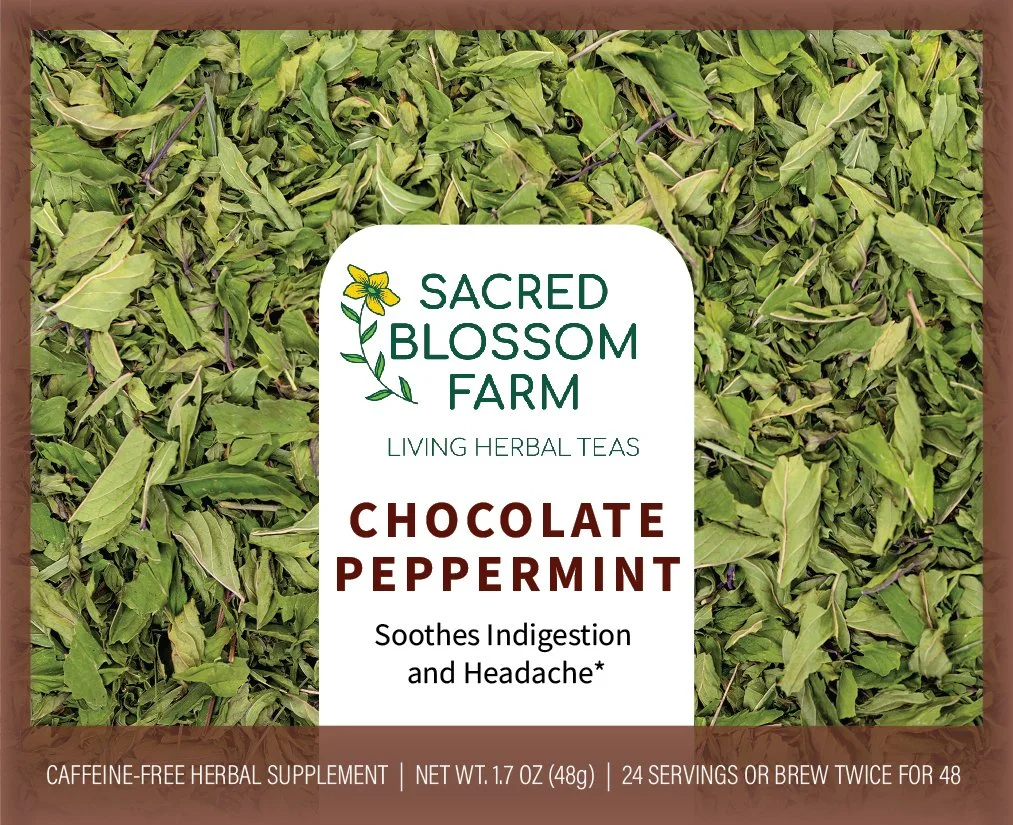 Chocolate Mint Herbal Tea — Sacred Blossom Farm