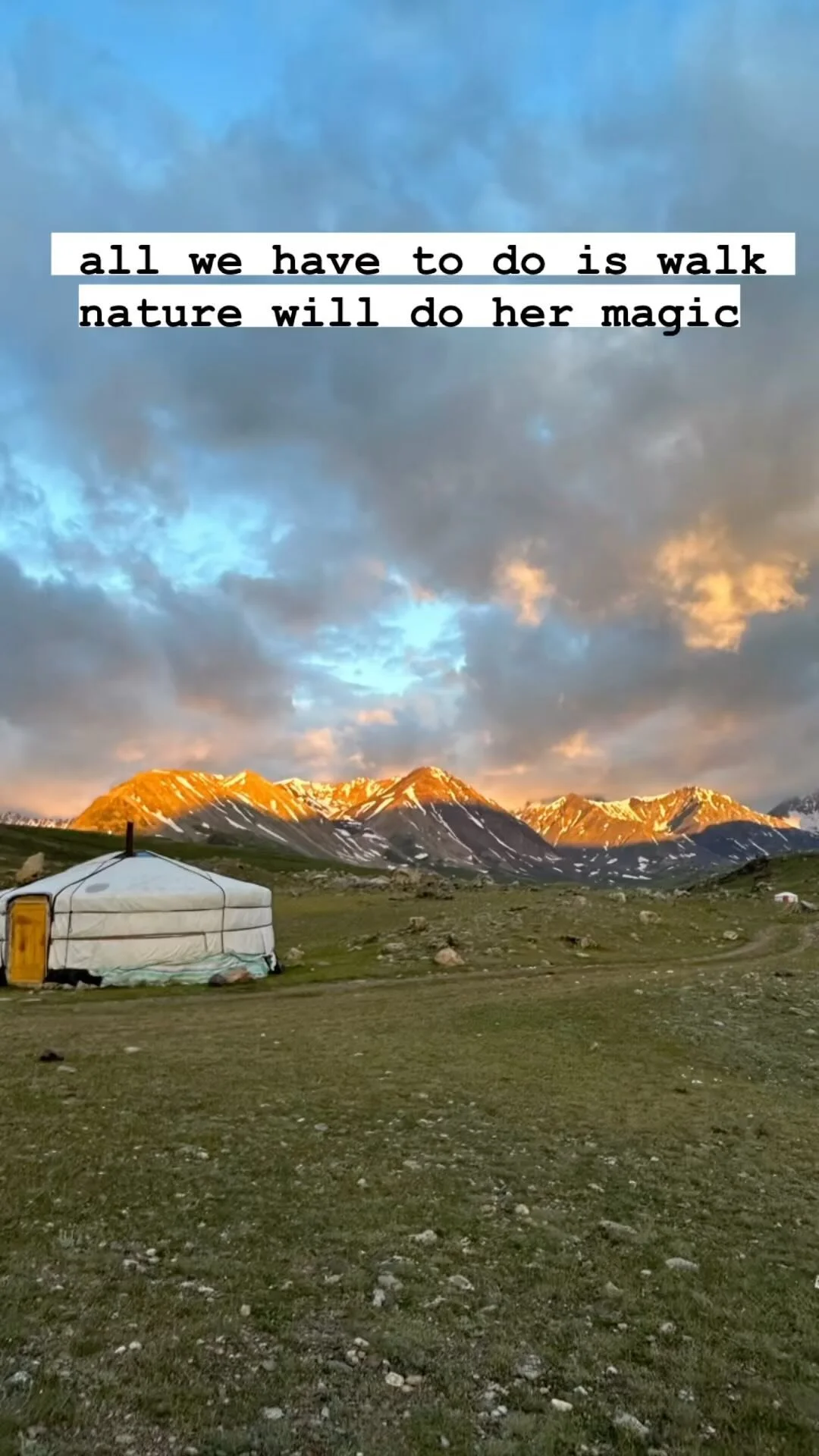 Western Australian Wildflowers by their Noongar Names. Edgewalkers ...