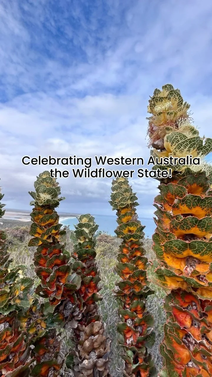 Fitzgerald River National Park - 3 Awesome Hikes Through Western ...