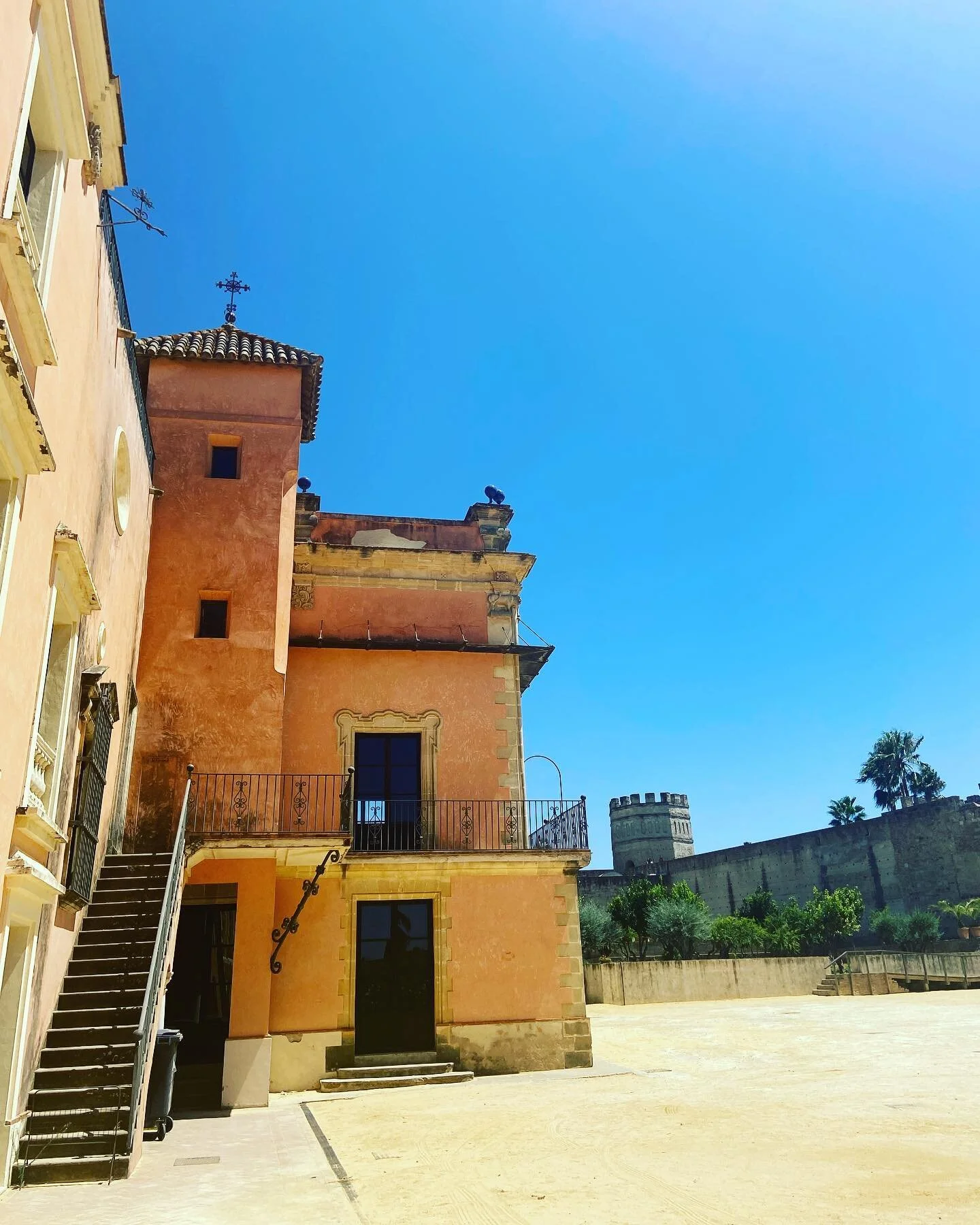 Alex Peake-Tomkinson