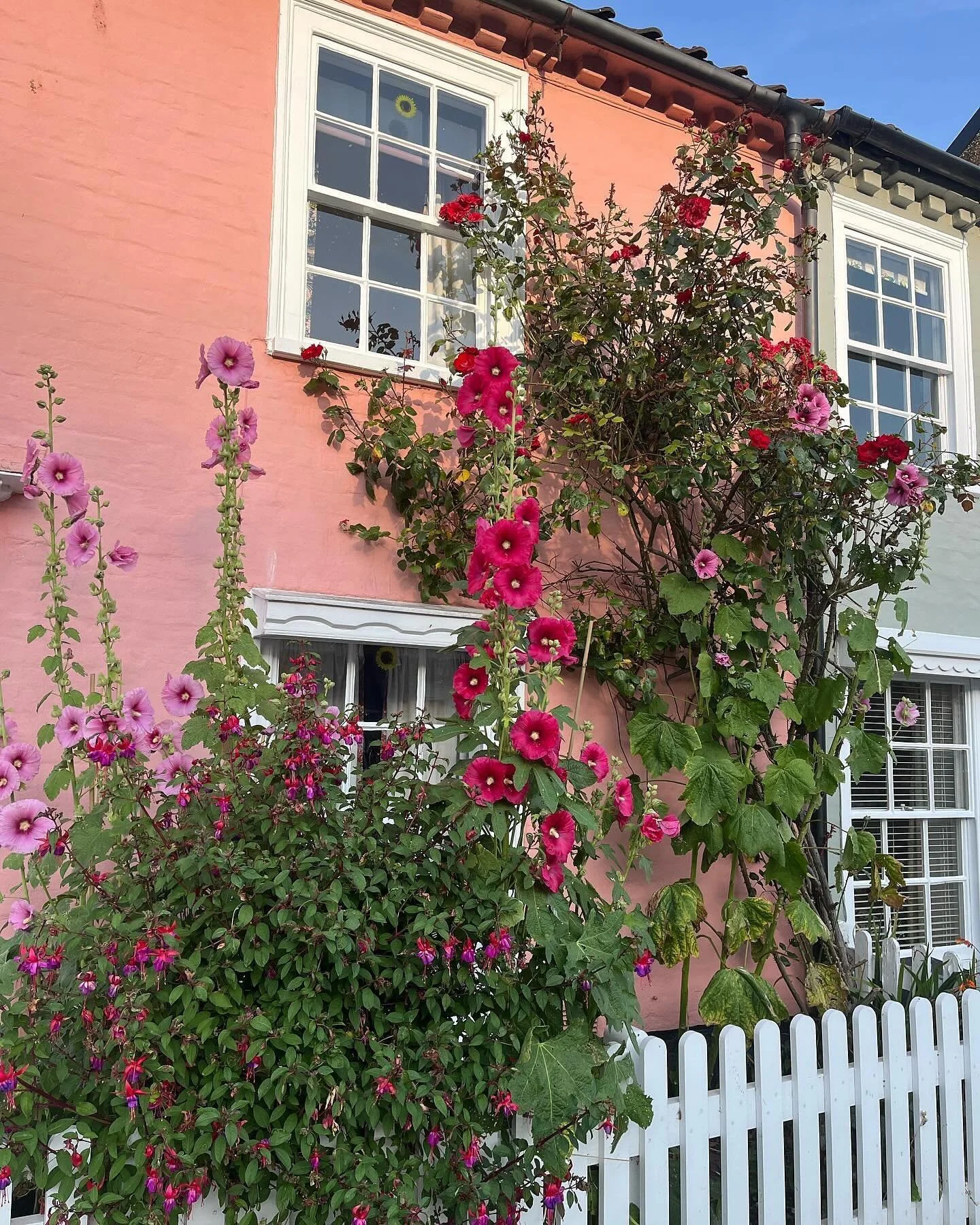 Alex Peake-Tomkinson