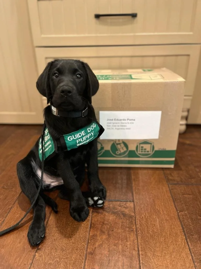 With Raisers — Guide Dogs for the Blind - Laguna Niguel Puppy Raisers