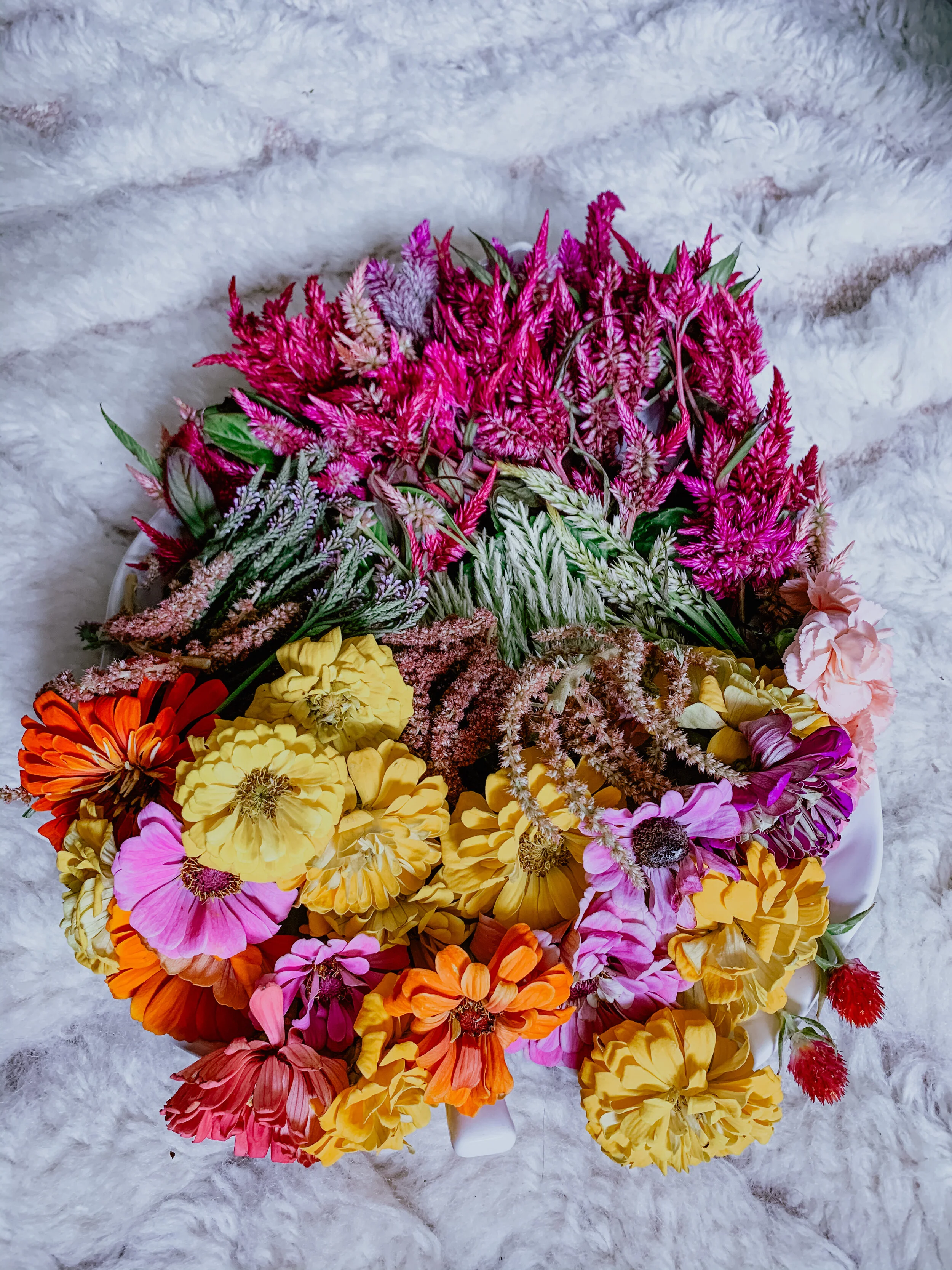 Our Products — Seven Petal Flower Farm