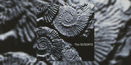 Celebrating 36 Years of The Sundays' Debut Album ‘Reading, Writing and ...