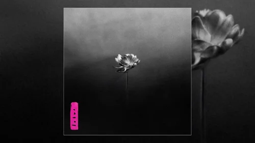 Little Simz’s Lyrical Gifts Blossom Anew on Confident, Captivating ...