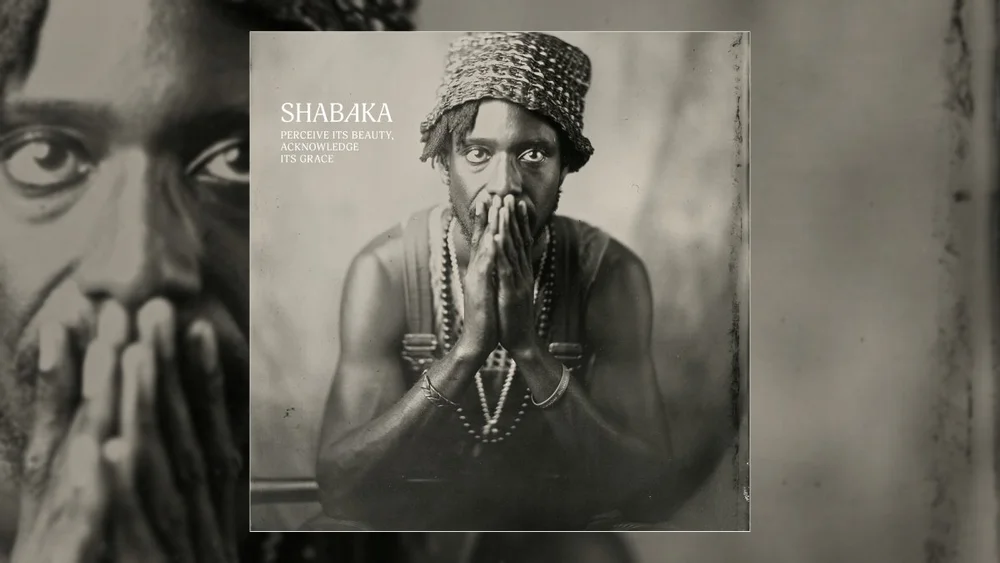Reviews | Albumism