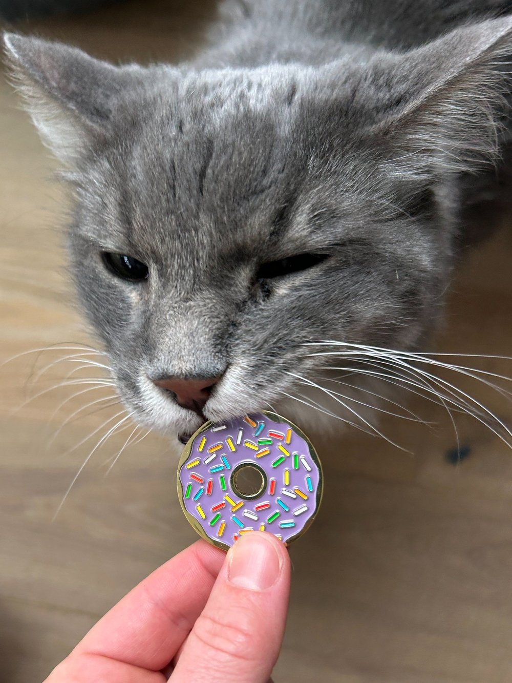 Happy Birthday Message Donuts — Angel Food