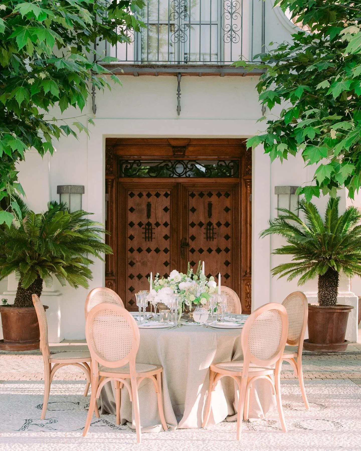 Bloomfield Photography