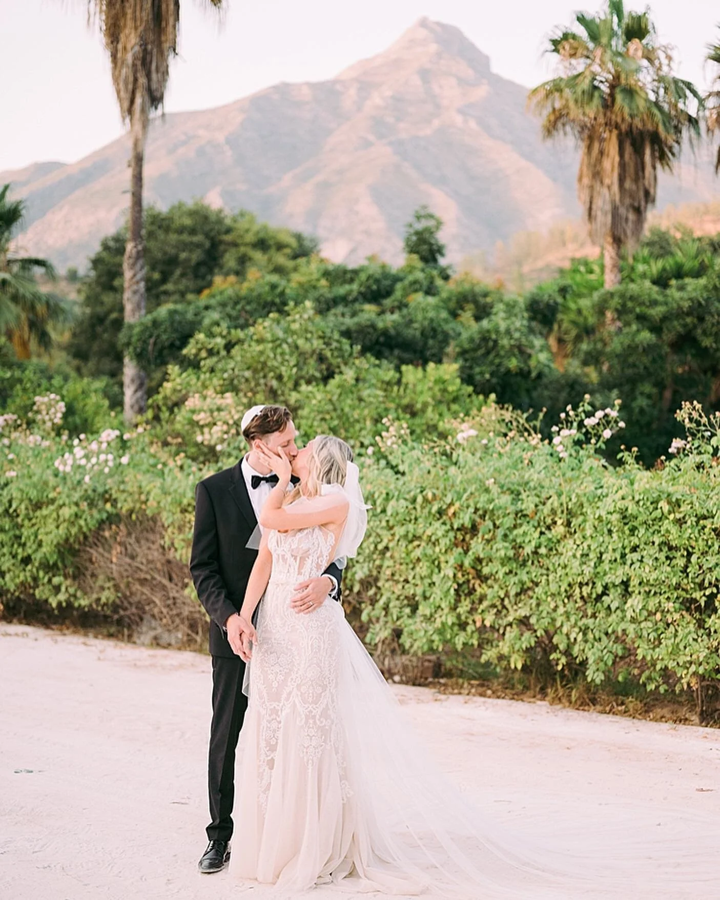 Bloomfield Photography