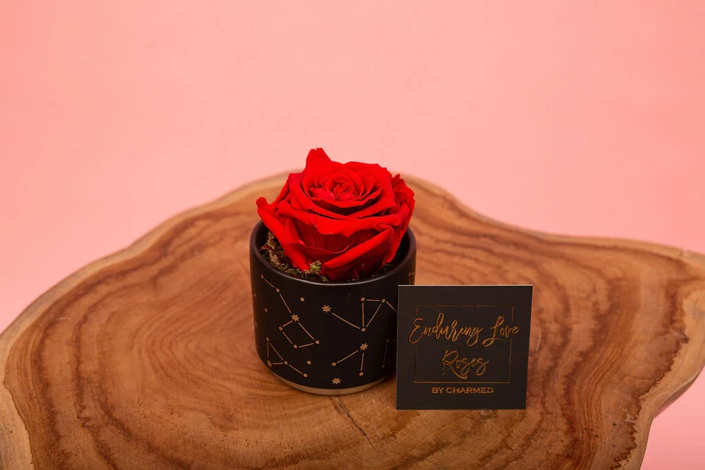 Constellation Enduring Love Rose — Charmed Flowers | Waterloo Florist ...