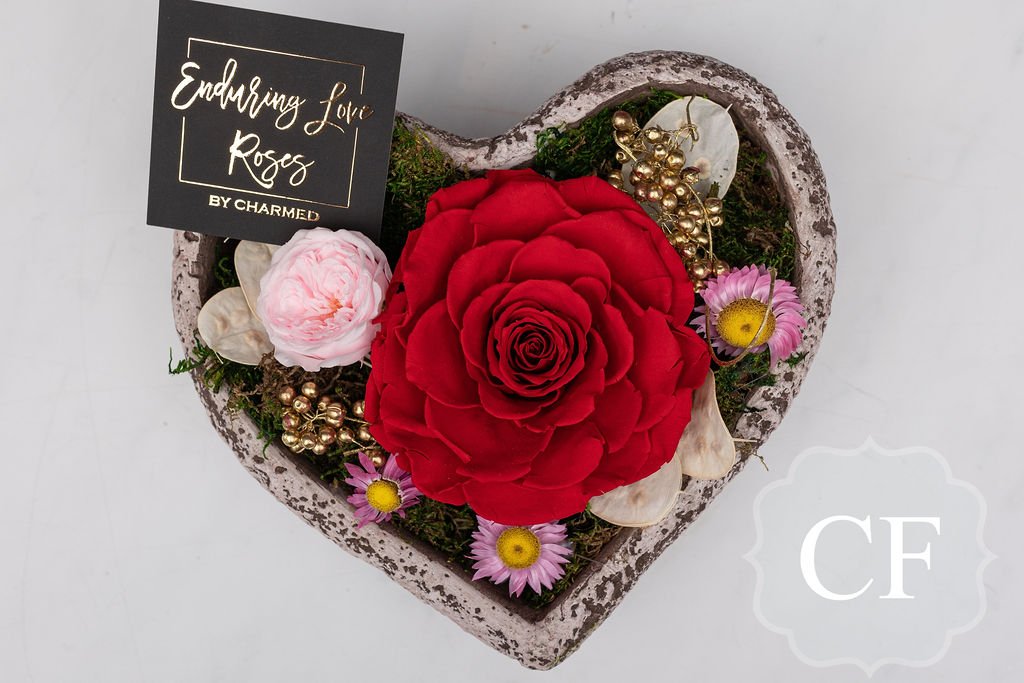 Enduring Love Roses delivery Waterloo & Kitchener — Charmed Flowers ...