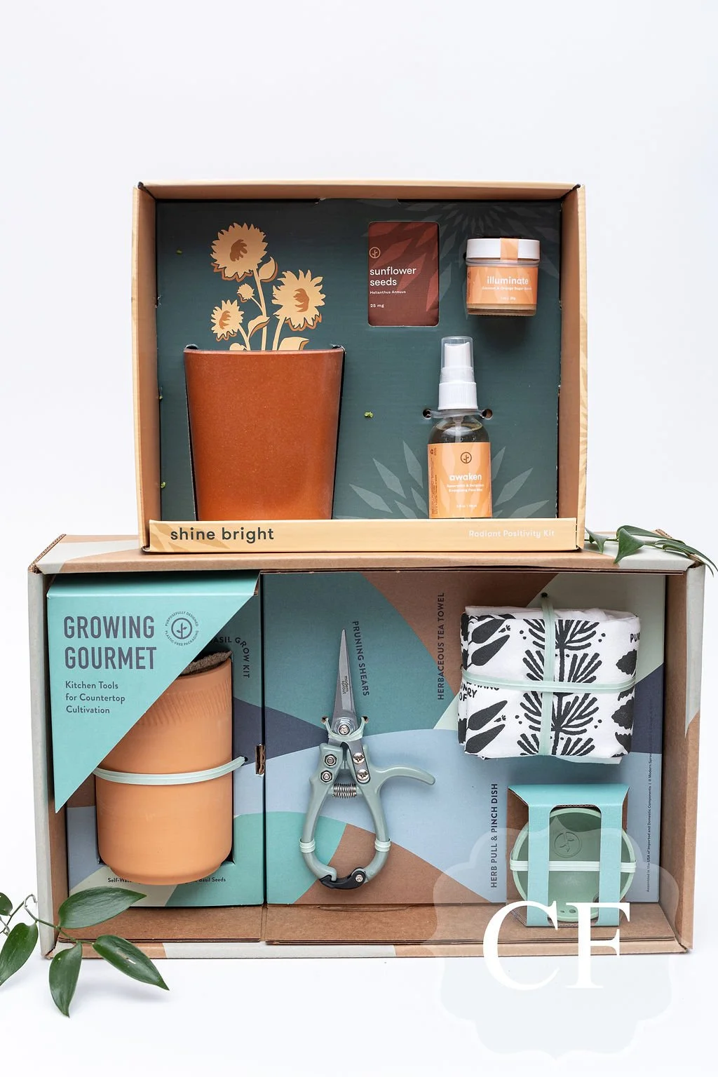 Shop Gift Bundles for Delivery in Kitchener Waterloo — Charmed Flowers ...