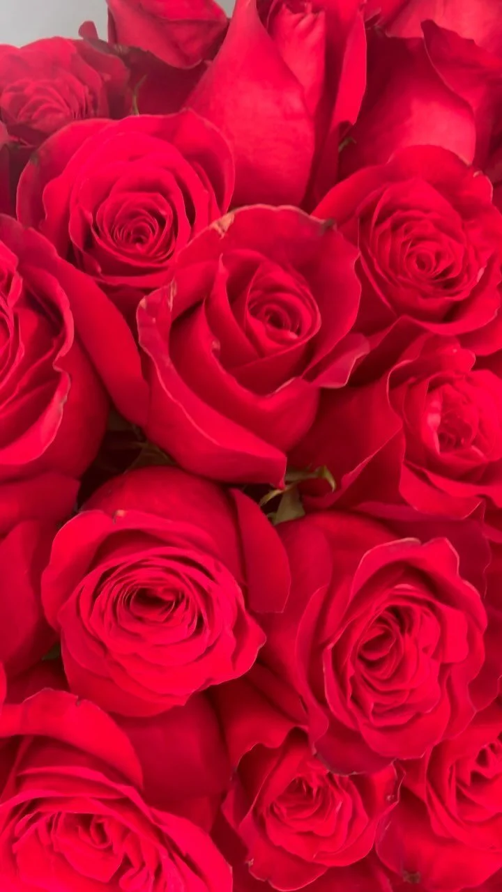 Shop Everyday Flowers delivery Waterloo & Kitchener — Charmed Flowers ...