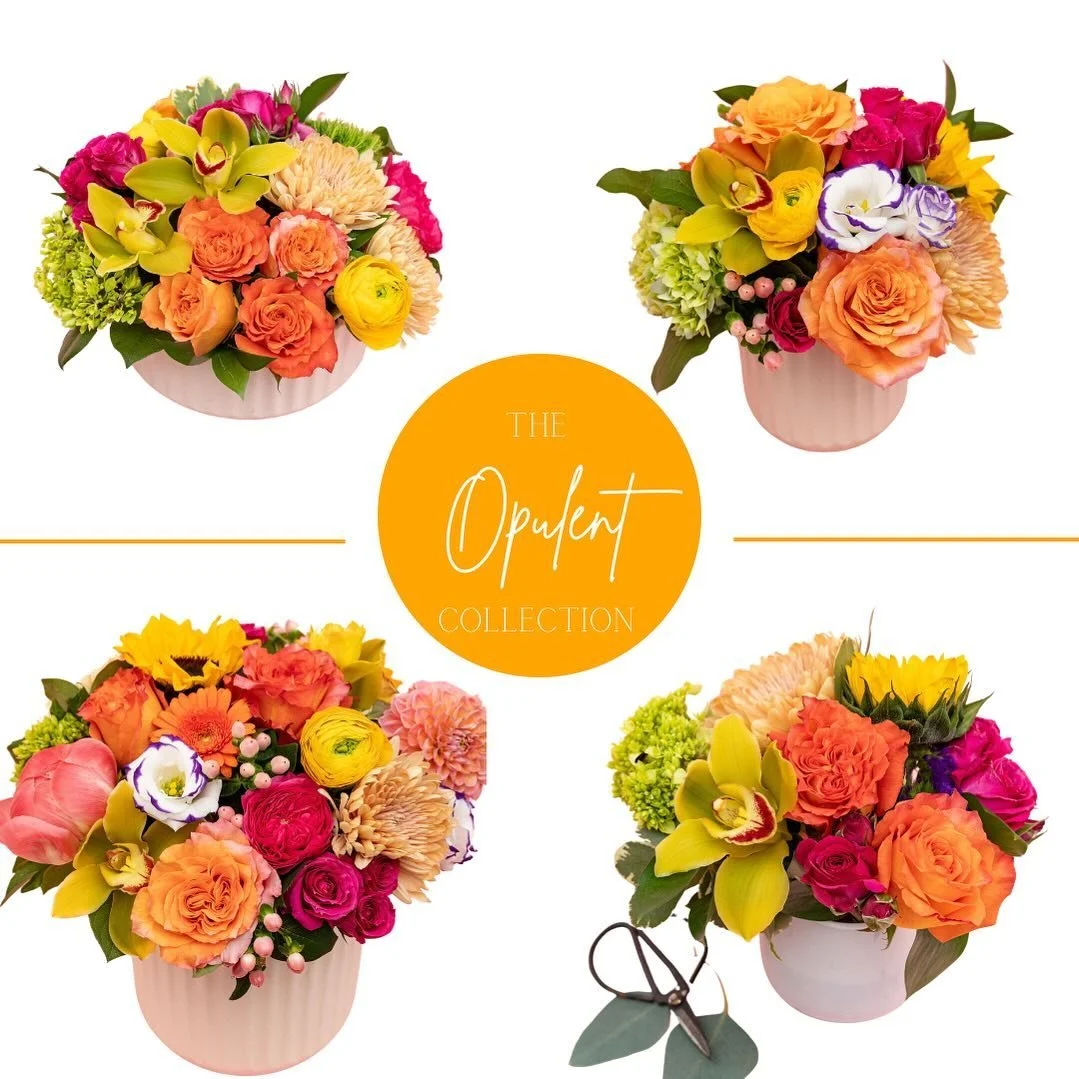 Charmed Flowers | Waterloo Florist | Buy Flowers Online for Delivery