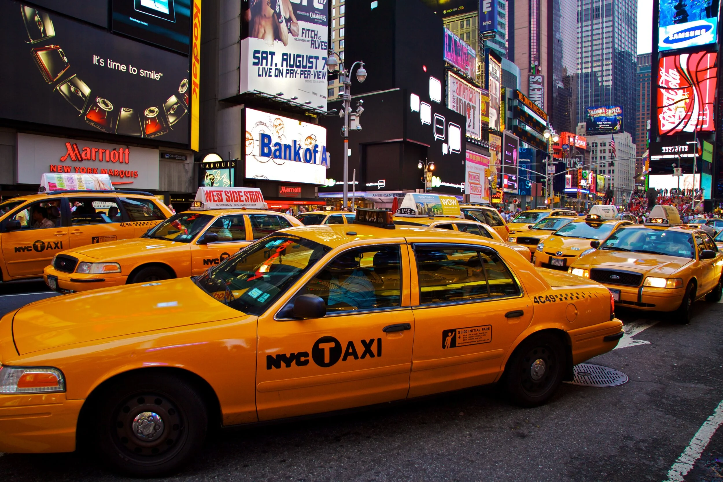 Do Nyc Cabs Allow Dogs Do Nyc Cabs Allow Dogs