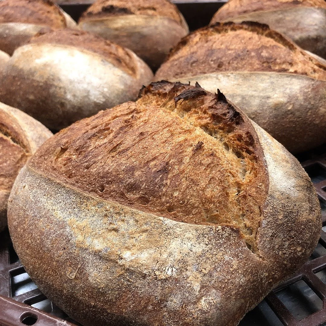 Summer CSA-Downingtown On-Farm Shares — Two Gander Farm