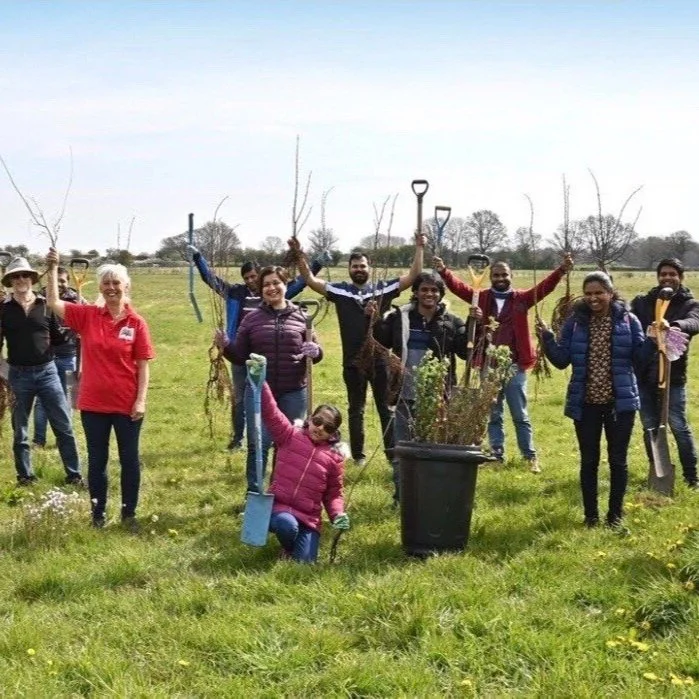 Corporate Partnerships — Forest of Hearts