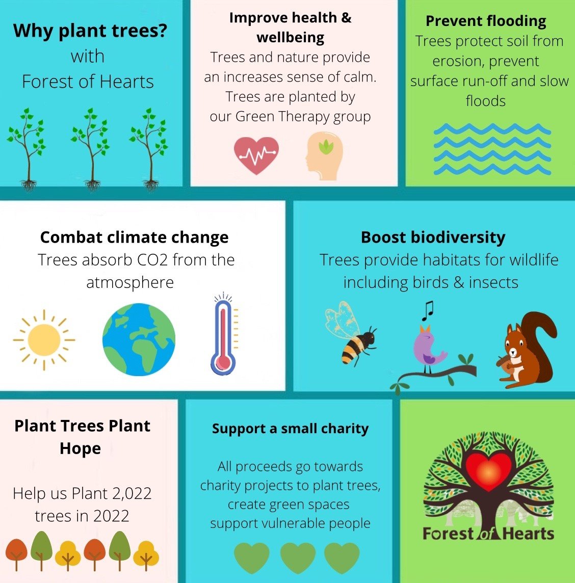 Why plant trees with the Forest of Hearts? — Forest of Hearts