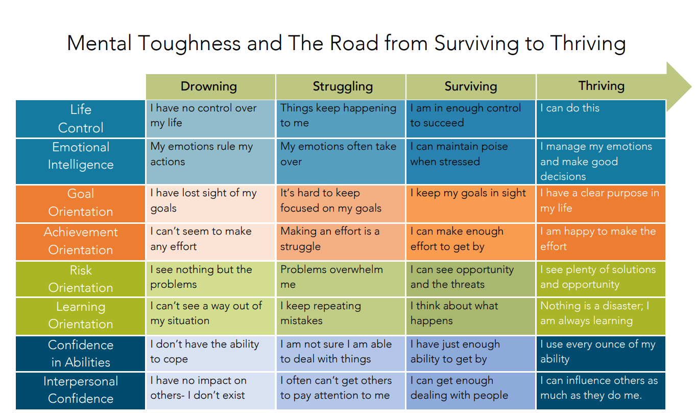 How Do You Know If You Are Surviving Or Thriving? — Bakjac Consulting