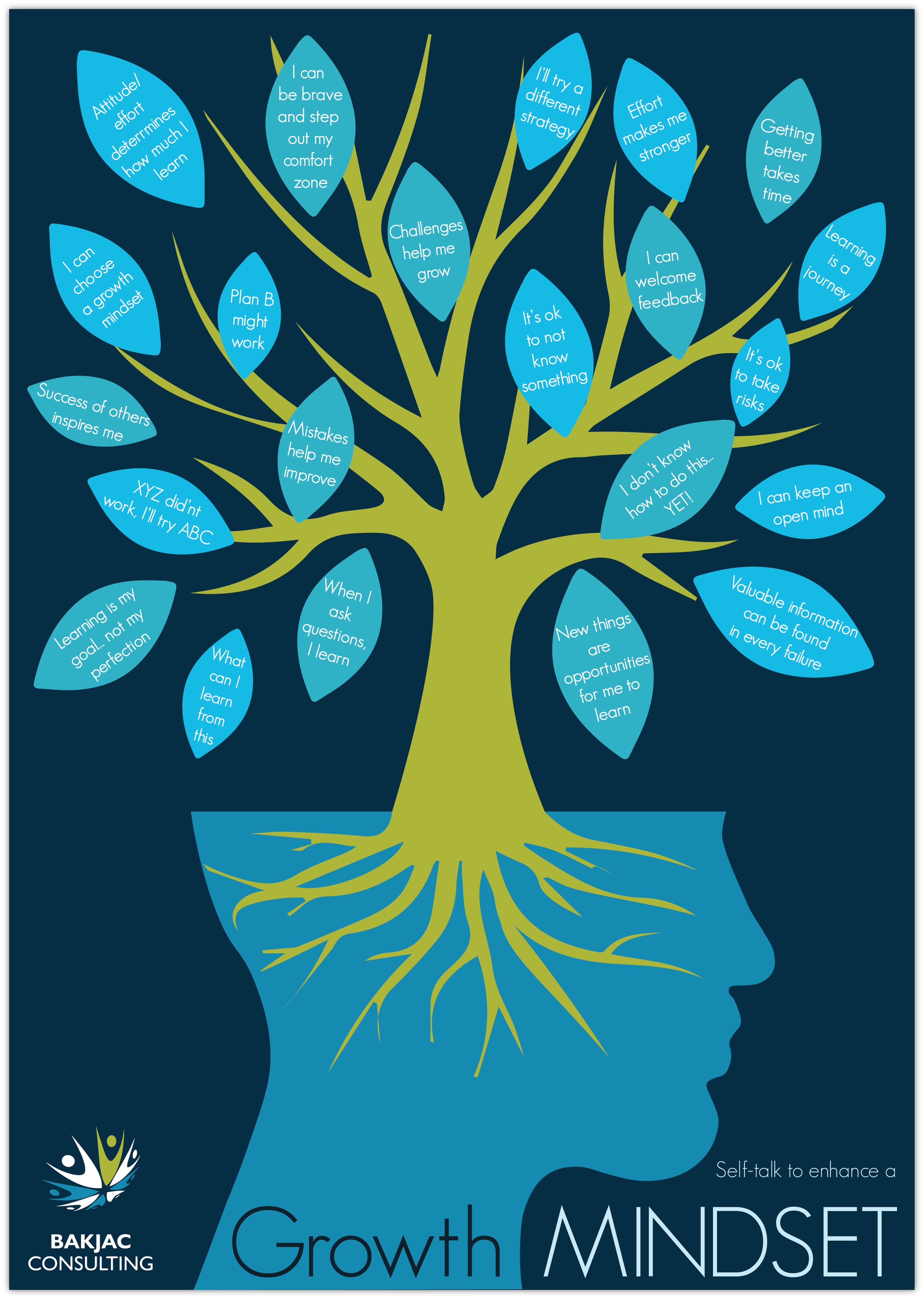 What Mindset Does Your Self Talk Represent? — Bakjac Consulting