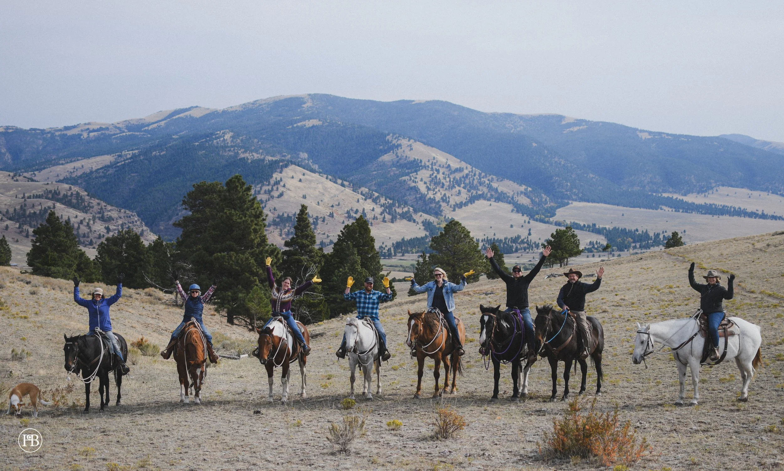 Natural Horsemanship — Rocking Z Guest Ranch