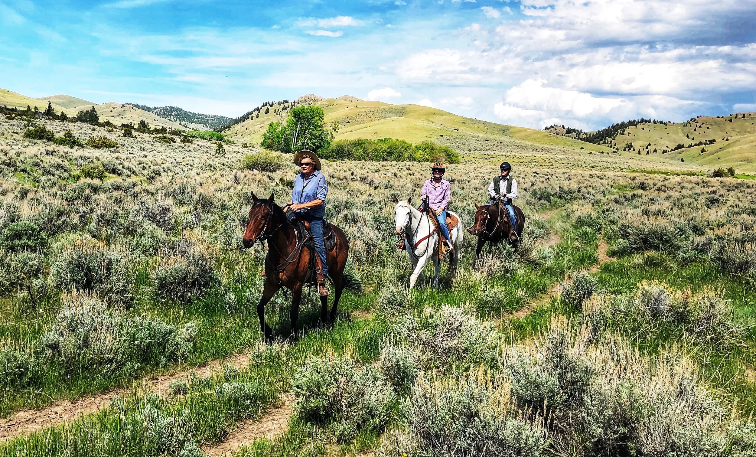 Riding — Rocking Z Guest Ranch