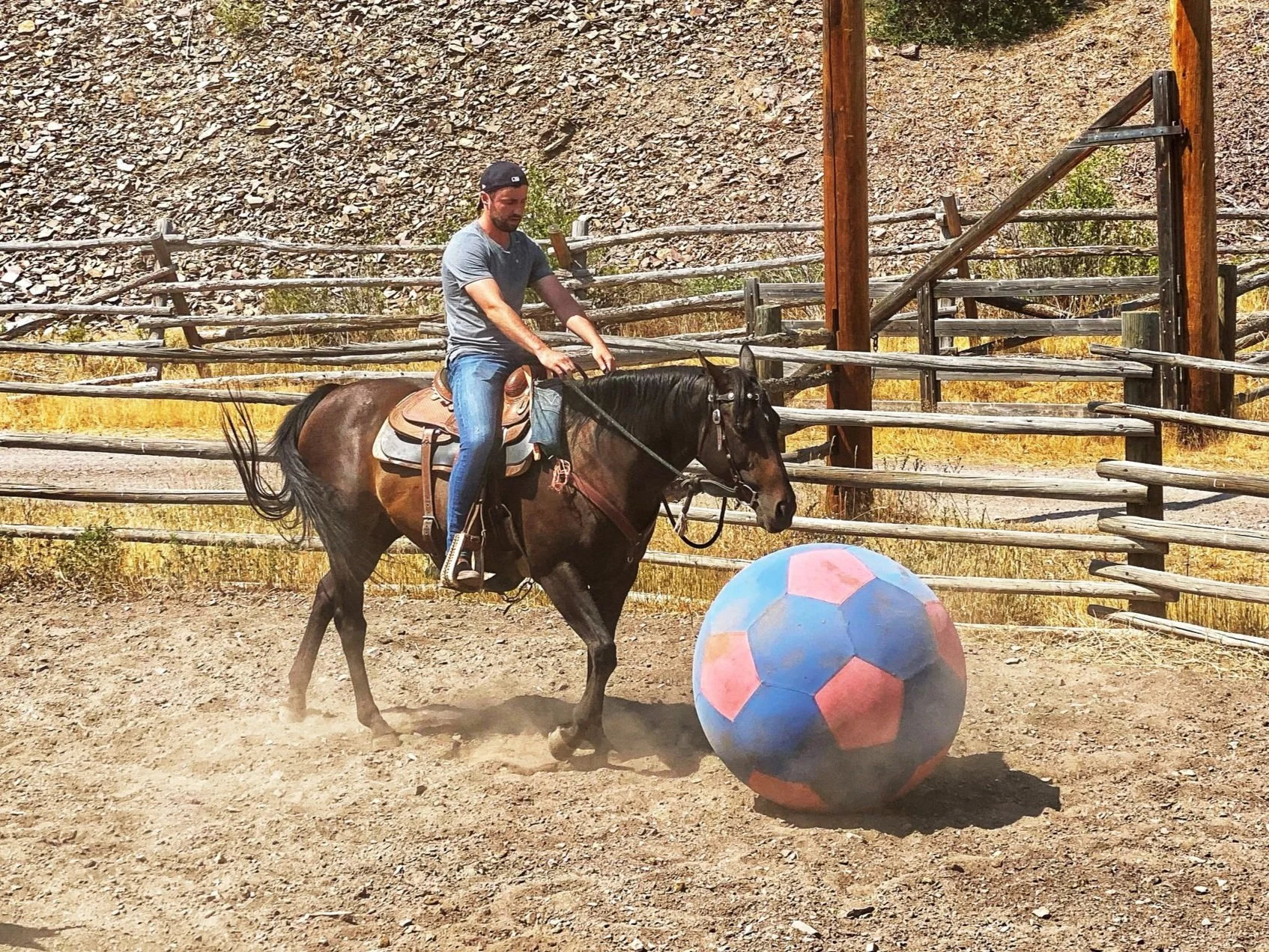 Horse Awards — Rocking Z Guest Ranch