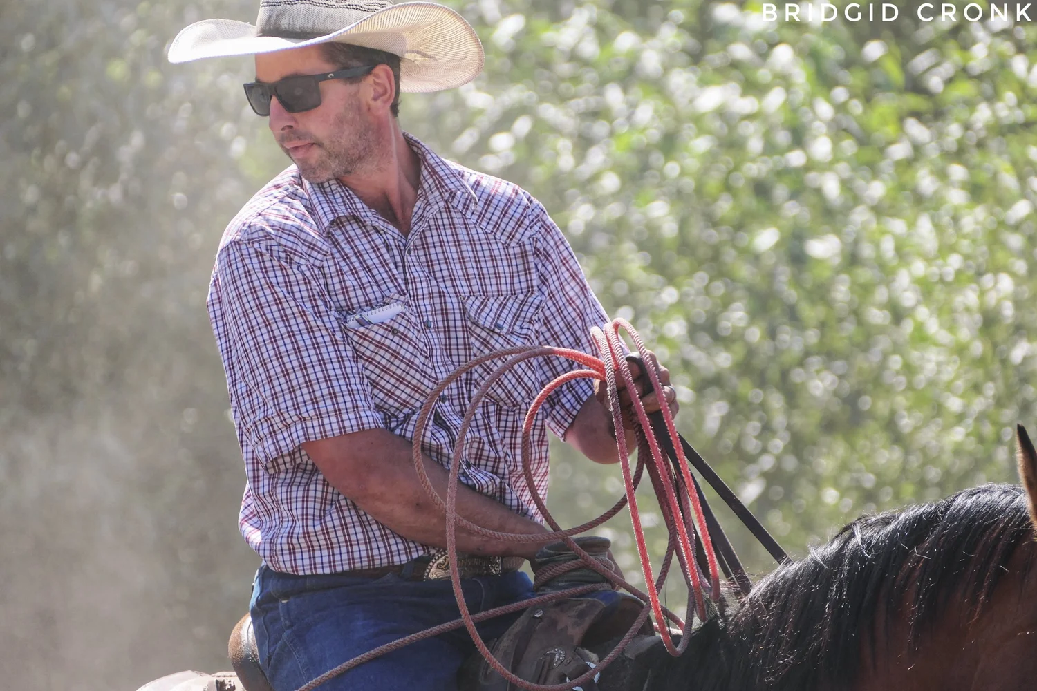 How to get to us! — Rocking Z Guest Ranch